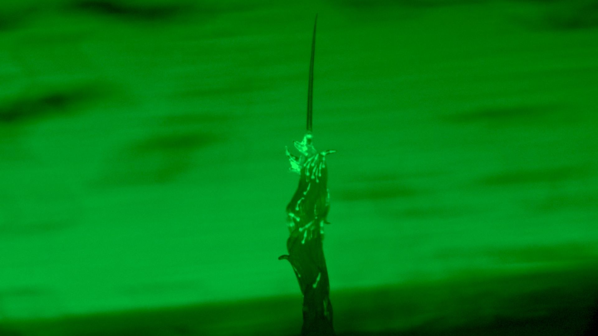 Watch 'superorganism' created by tiny worms — the first time it's ever ...