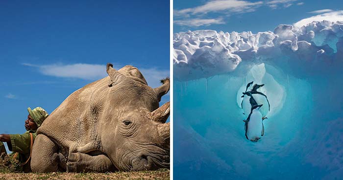 28 Winning Pictures From The 2022 Travel Photographer Of The Year Awards