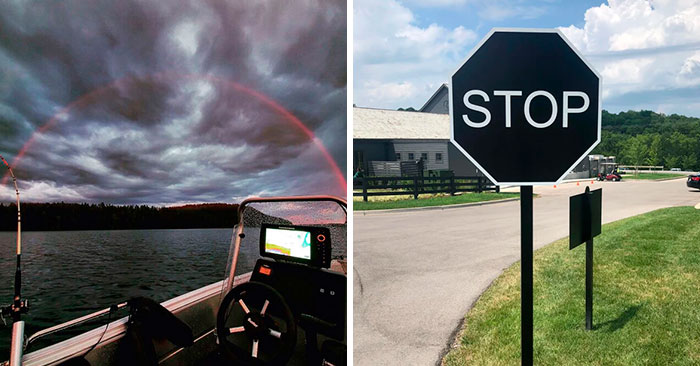 40 Unusual Things People Came Across That Made Them Think They’d ...