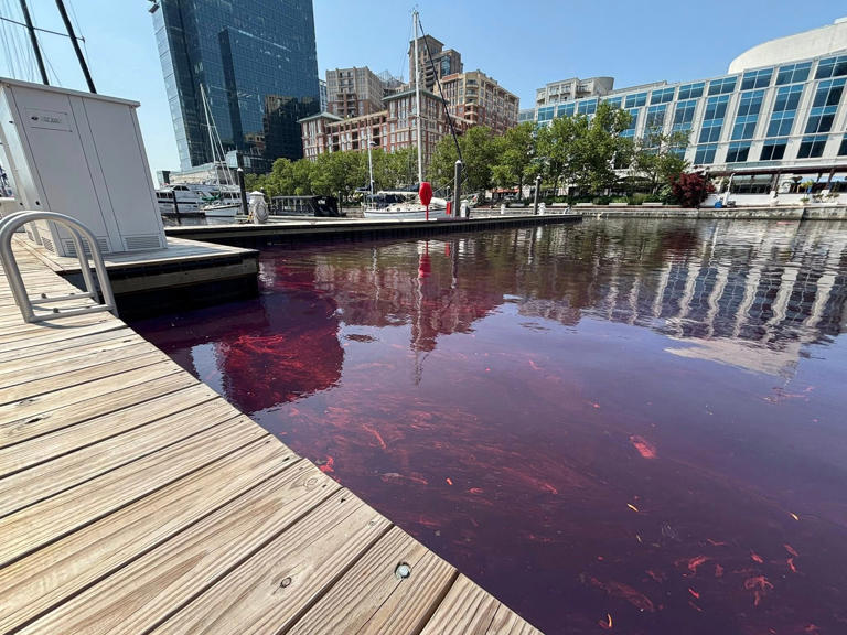 An oil spill in Maryland has turned the water red. Officials are trying ...