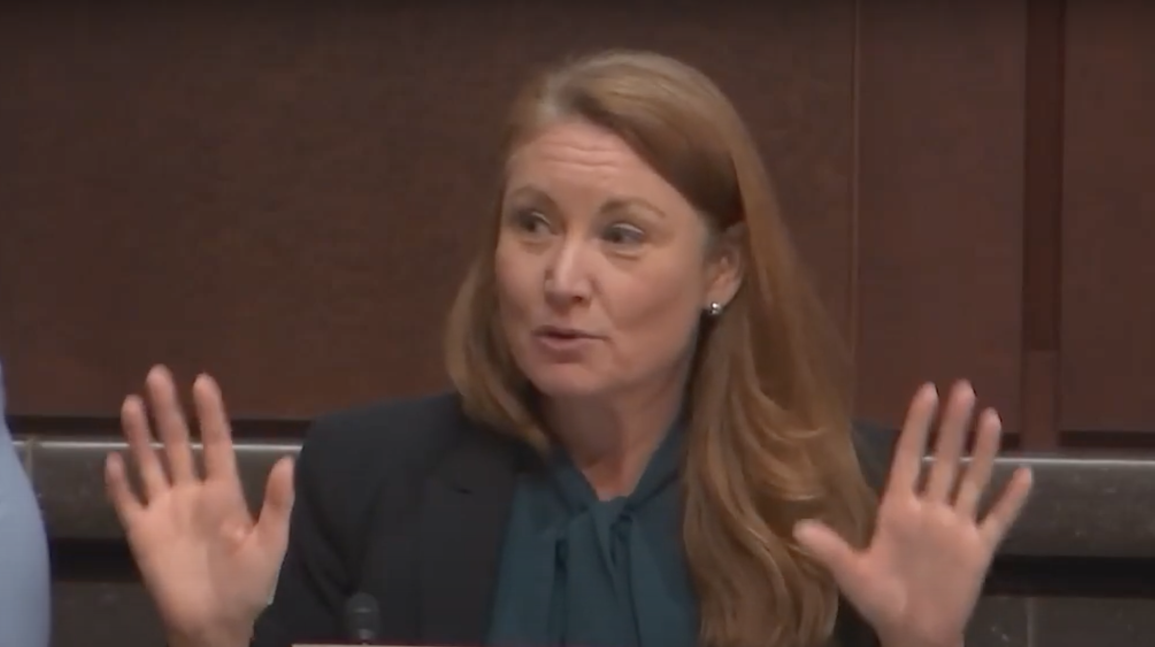 'This Is Not Normal' Melanie Stansbury Sounds Off On The Trump ...