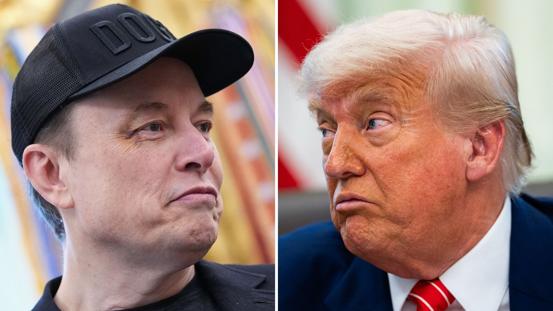 Elon Musk: “Without me, Trump would have lost the election”