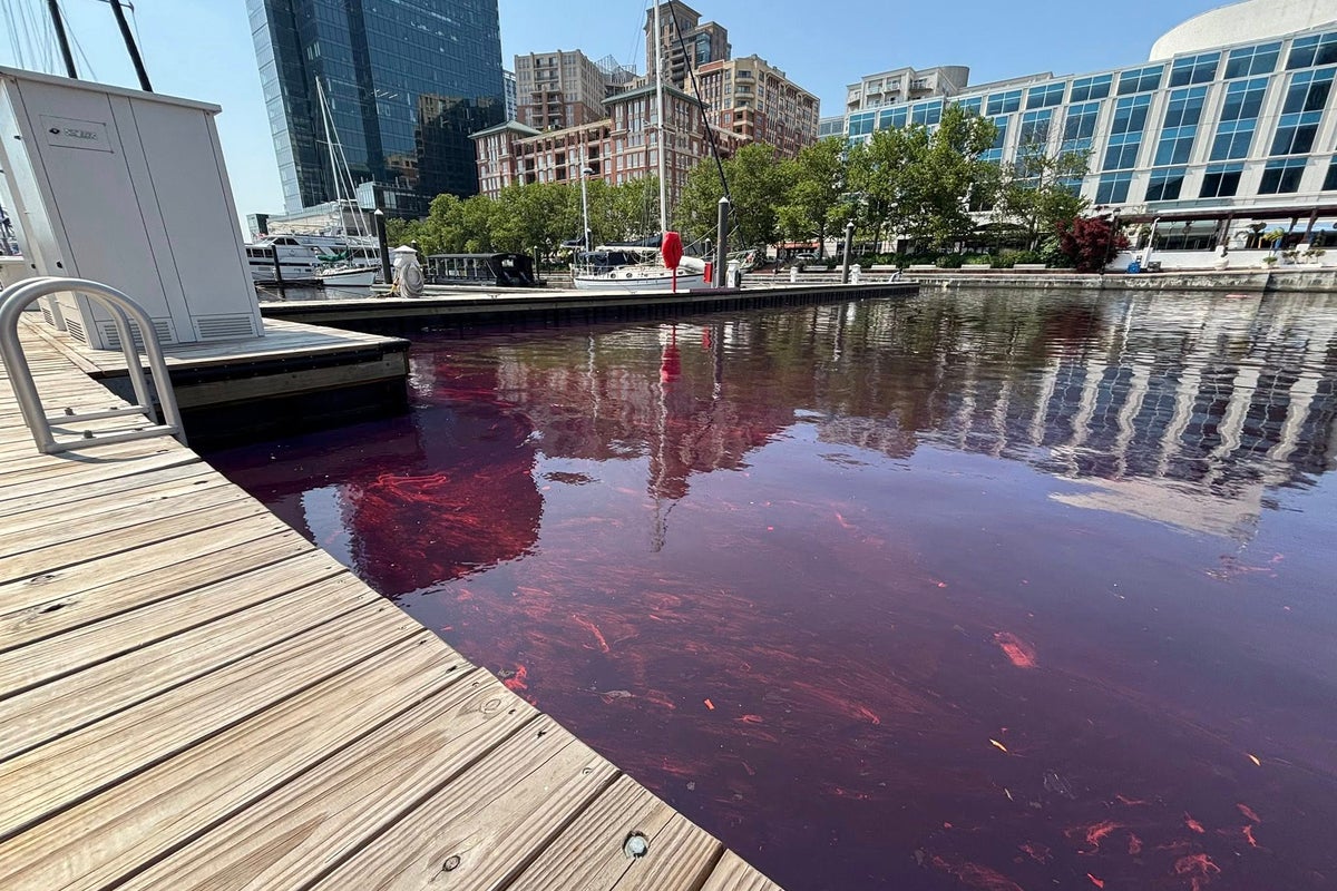 Clean-up underway after 2,000 gallons of fuel spill in Baltimore Harbor ...