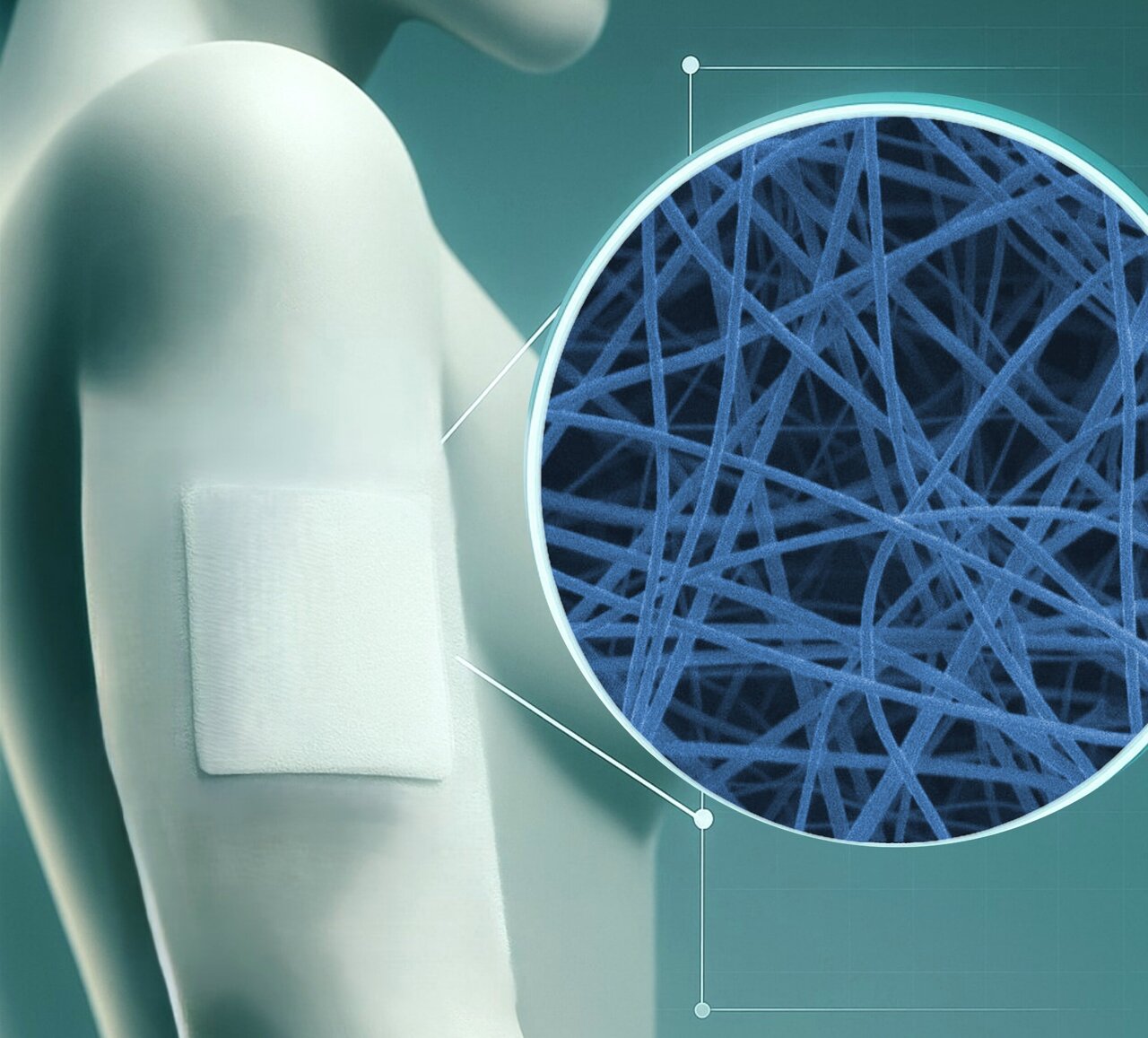 Electrospun polymer fiber mats enable controlled release of ...