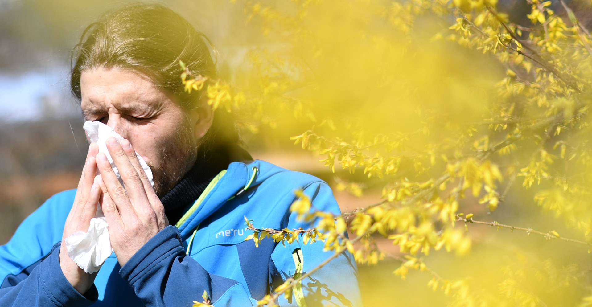 Allergies saisonnières ? Voici les coupables