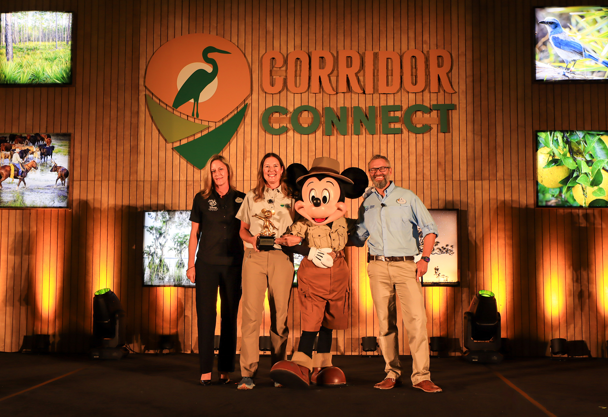 Disney Conservation Fund: An Overview and the Latest Updates