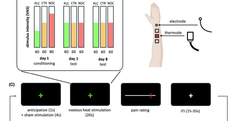 The Placebo Effect Shows Our Mind Has An Impact On Medical Treatments ...