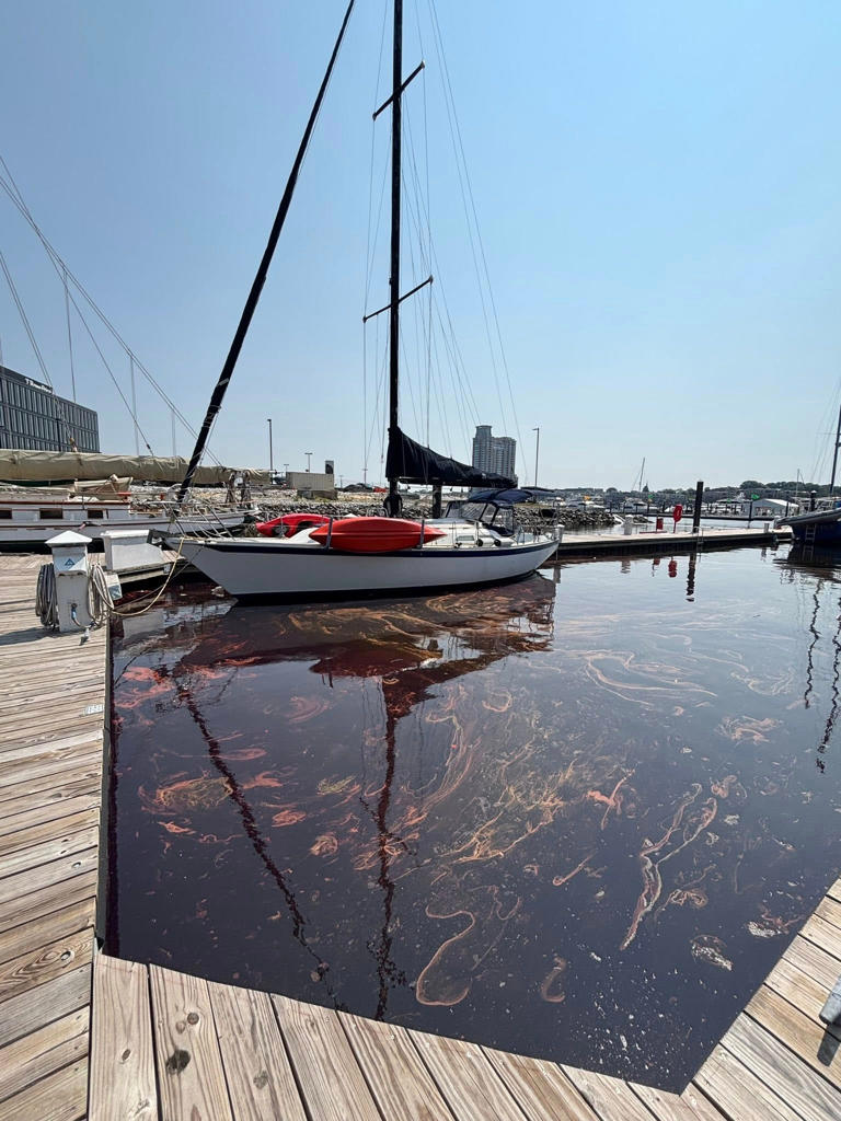 An oil spill in Maryland has turned the water red. Officials are trying ...