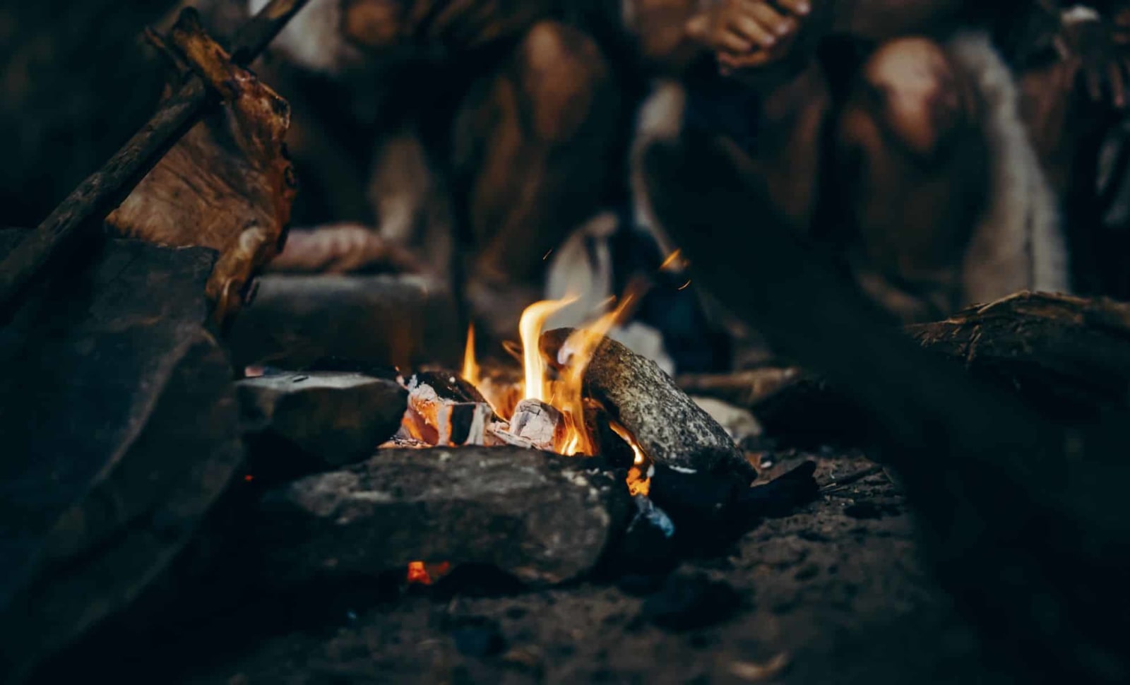 Fire Use Wasn’t For Cooking… So What Were Early Humans Really Doing?