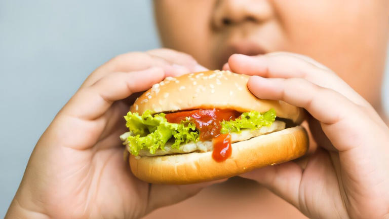 Metabolic markers found in obese adolescents guide vascular aging ...