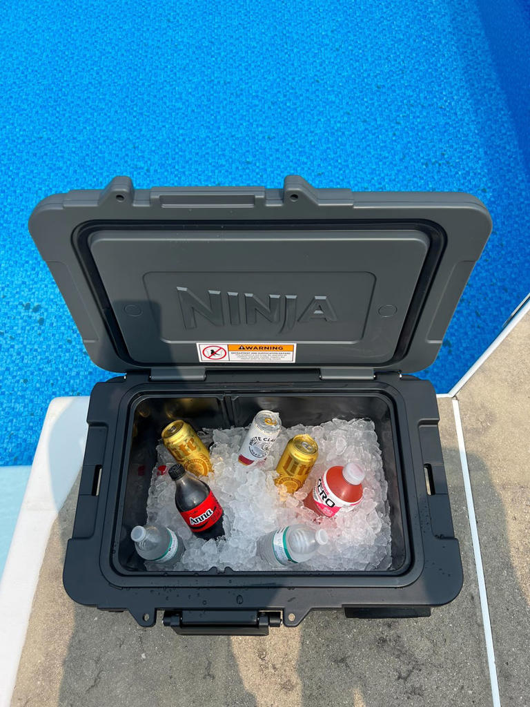 The Ninja FrostVault Cooler Keeps Food Safe for Days—And It’s Cheaper ...