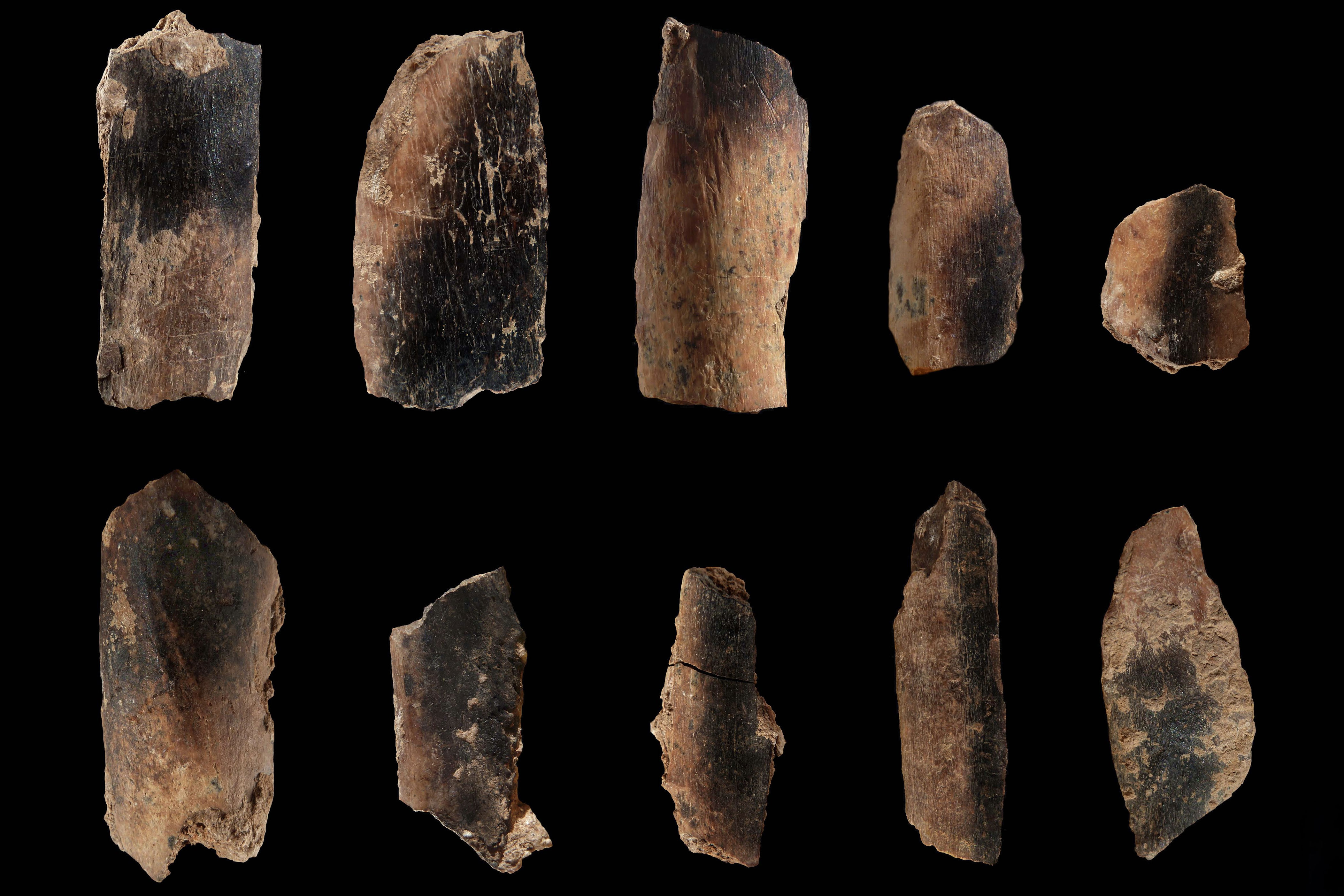 Early Humans May Have Used Fires to Smoke Meat One Million Years Ago