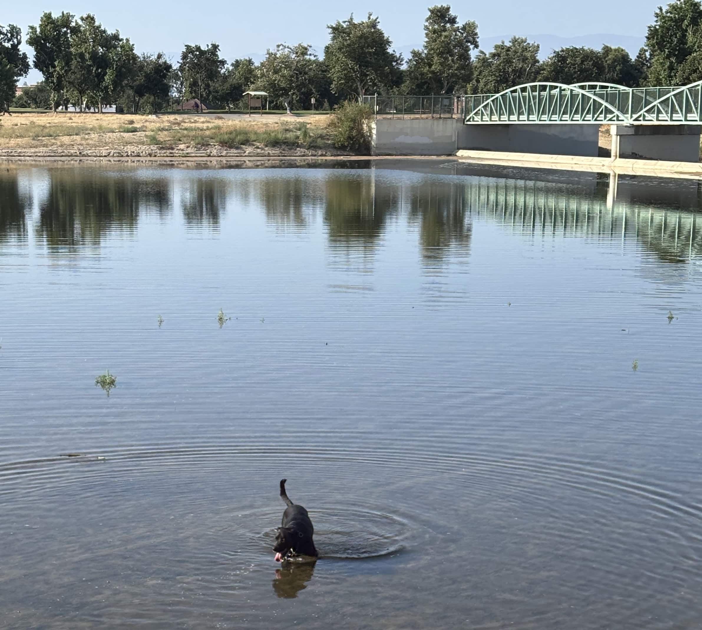 Powerful Kern water agency wants to boot judge off of Kern River case