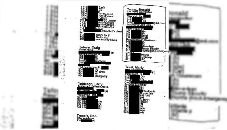 Trump mention in Epstein's 'black book' resurfaced during Musk spat. Here's the context