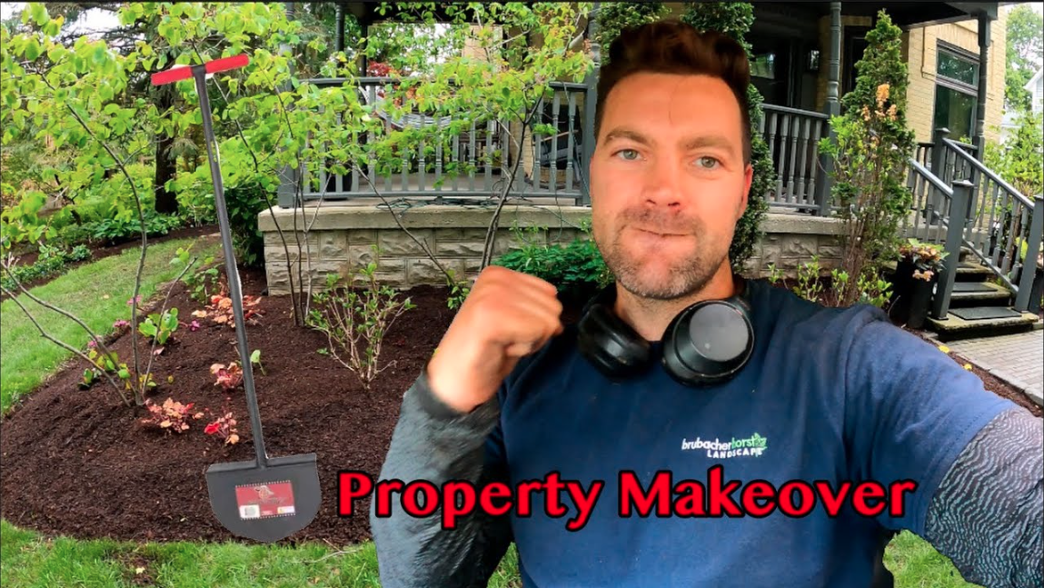 How We Transform Our Yards: Full Lawn Makeover | Lawn Life