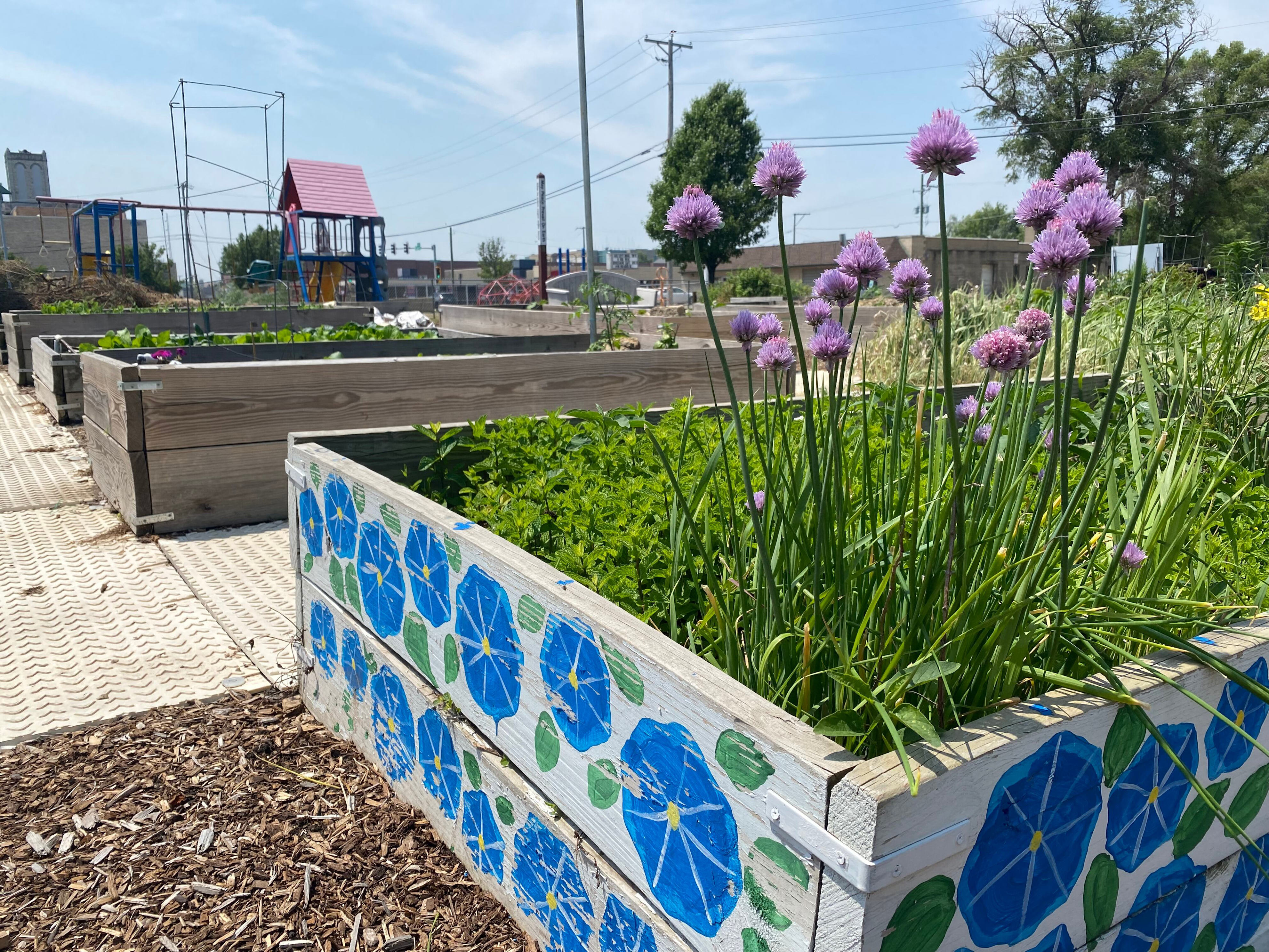 Rockford NAACP fights city’s food deserts with community gardens