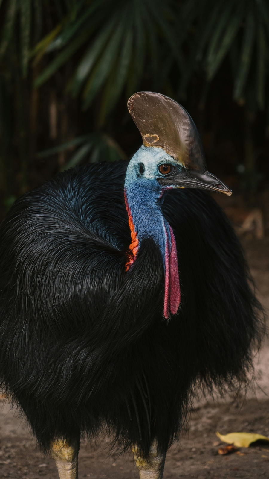 How Do Animals Communicate 6 Fascinating Facts