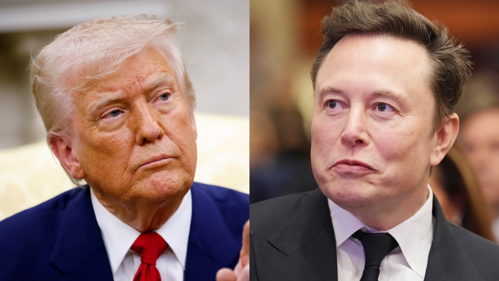 Elon Musk ‘provoked’ fight with Donald Trump