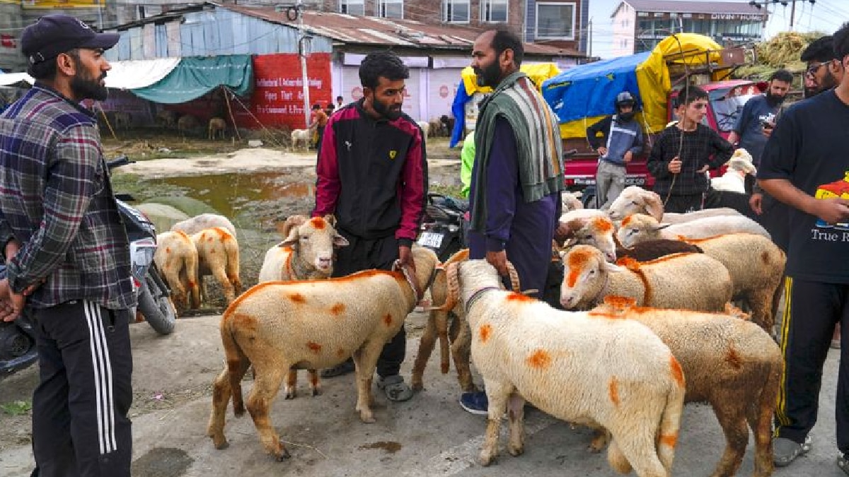 Eid-ul-Azha In Delhi: What’s Banned, What’s Allowed, And What Can Get ...