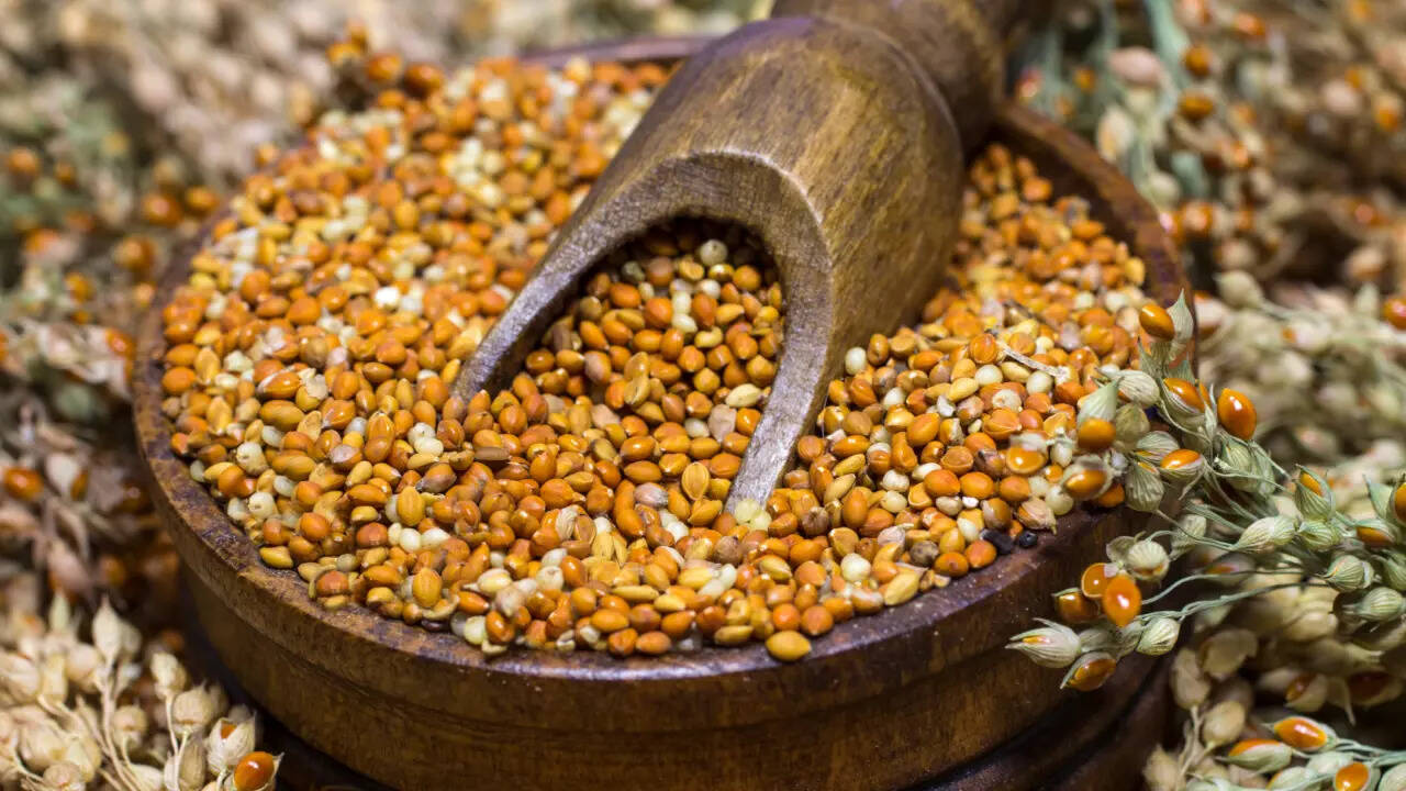 Millets are no modern fad: Bronze Age humans consumed this gluten-free ...