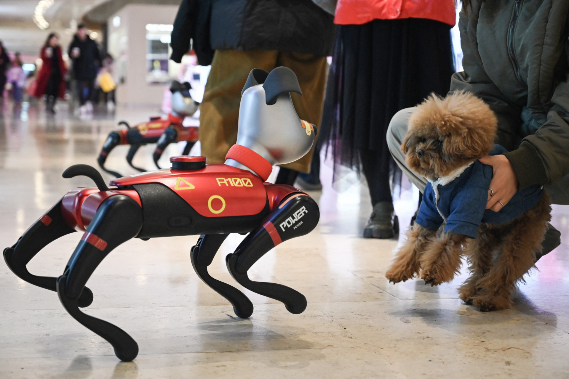 How AI is bridging human-animal communication