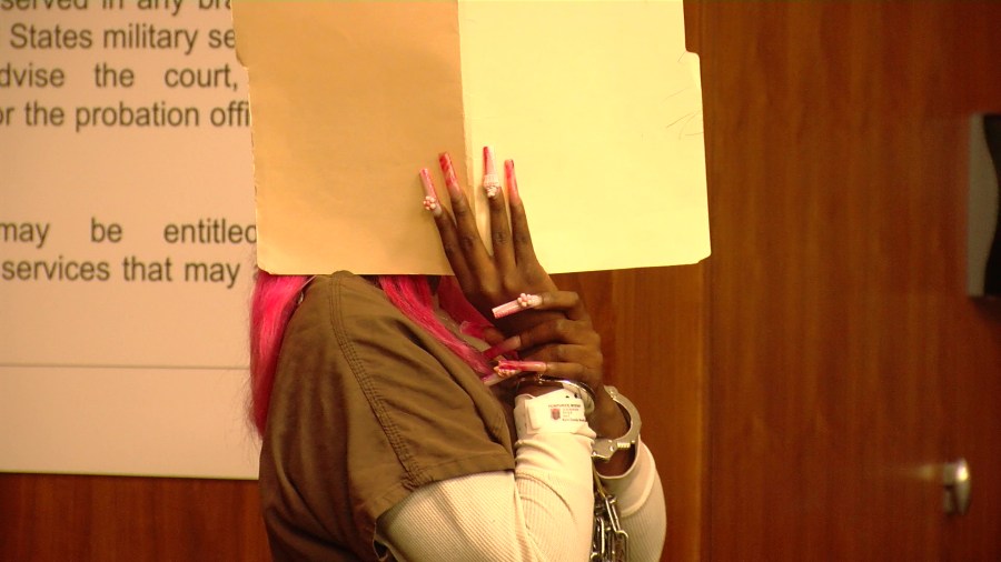 Woman pleads not guilty to using bear spray, leading police on chase