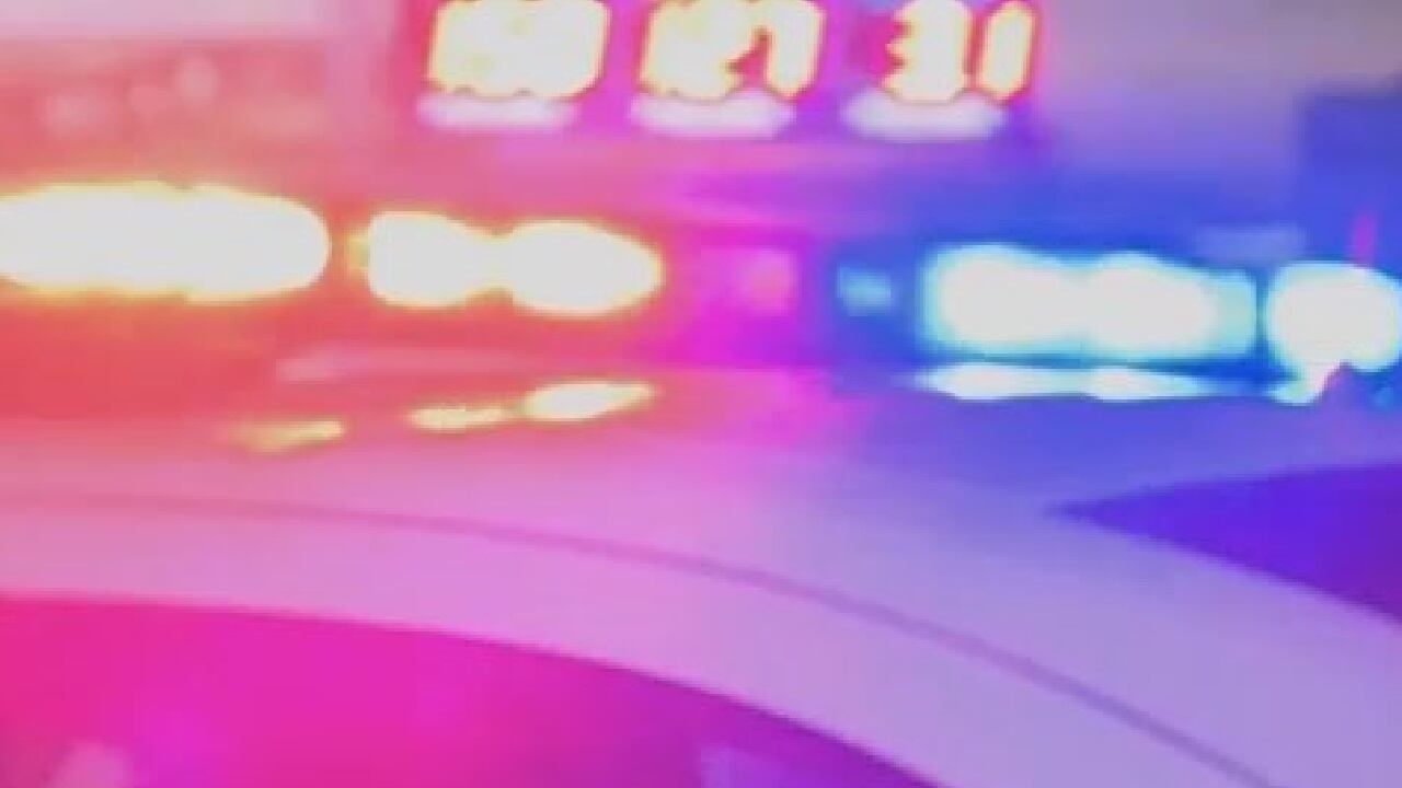 CSPD officer bitten by dog while arresting wanted suspect at America ...