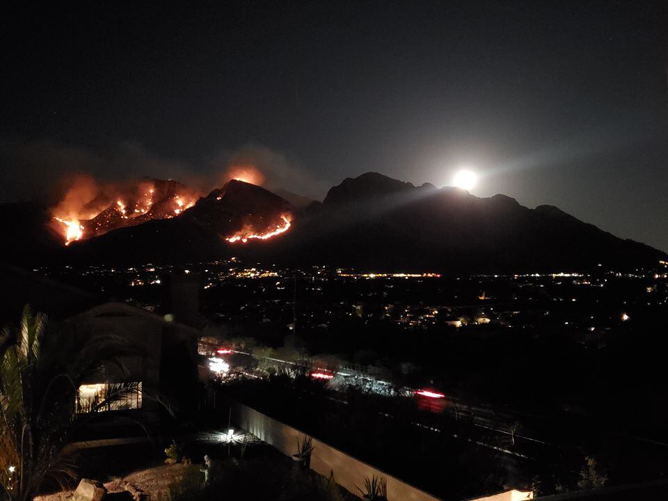 Forest coming back to life after devastating Bighorn Fire