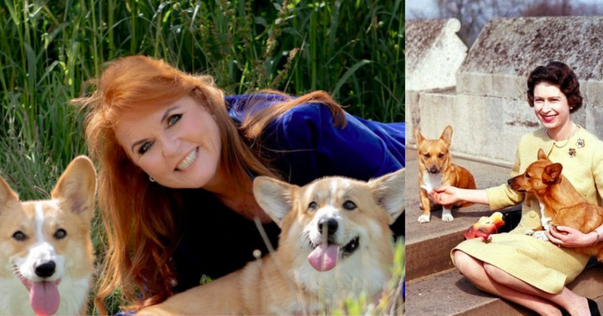 Late Queen Elizabeth Still ‘Talks’ Through Her Dogs—Duchess of York ...