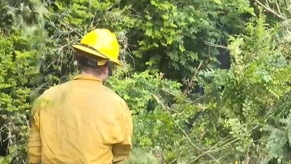 Officials encourage building defensible spaces as wildfire season begins