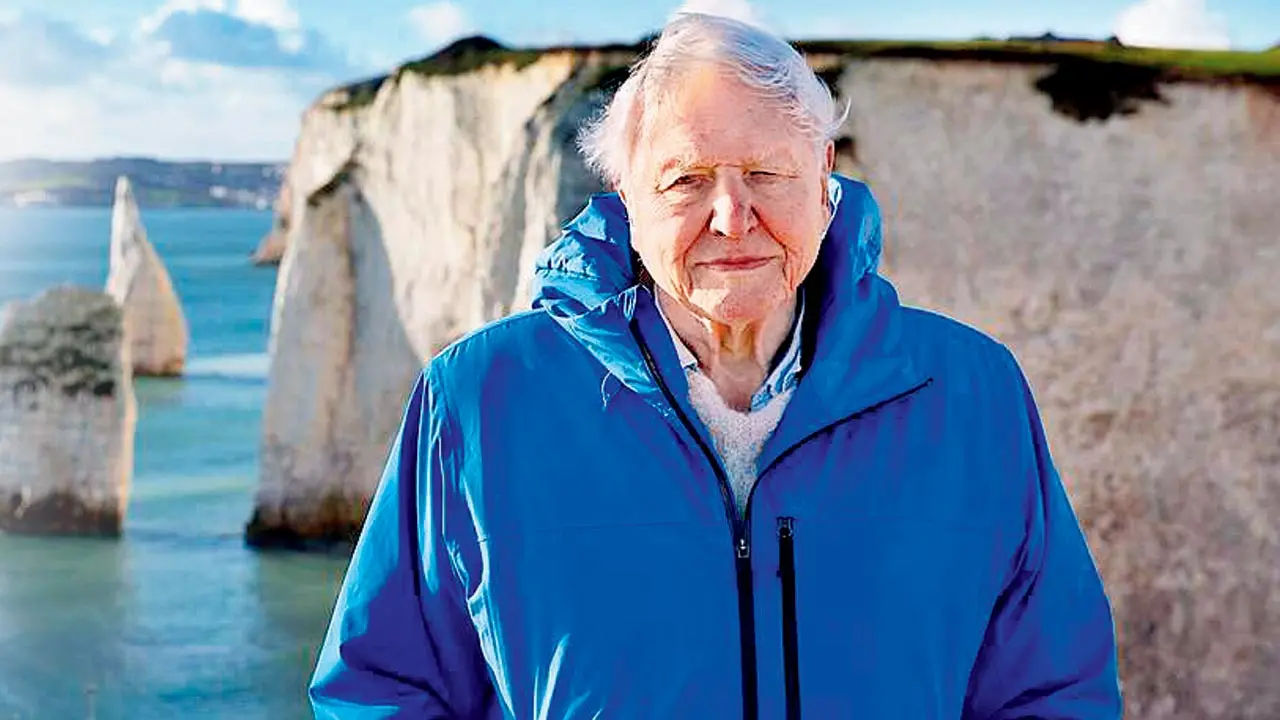 World Oceans Day: David Attenborough to release documentary on saving ...