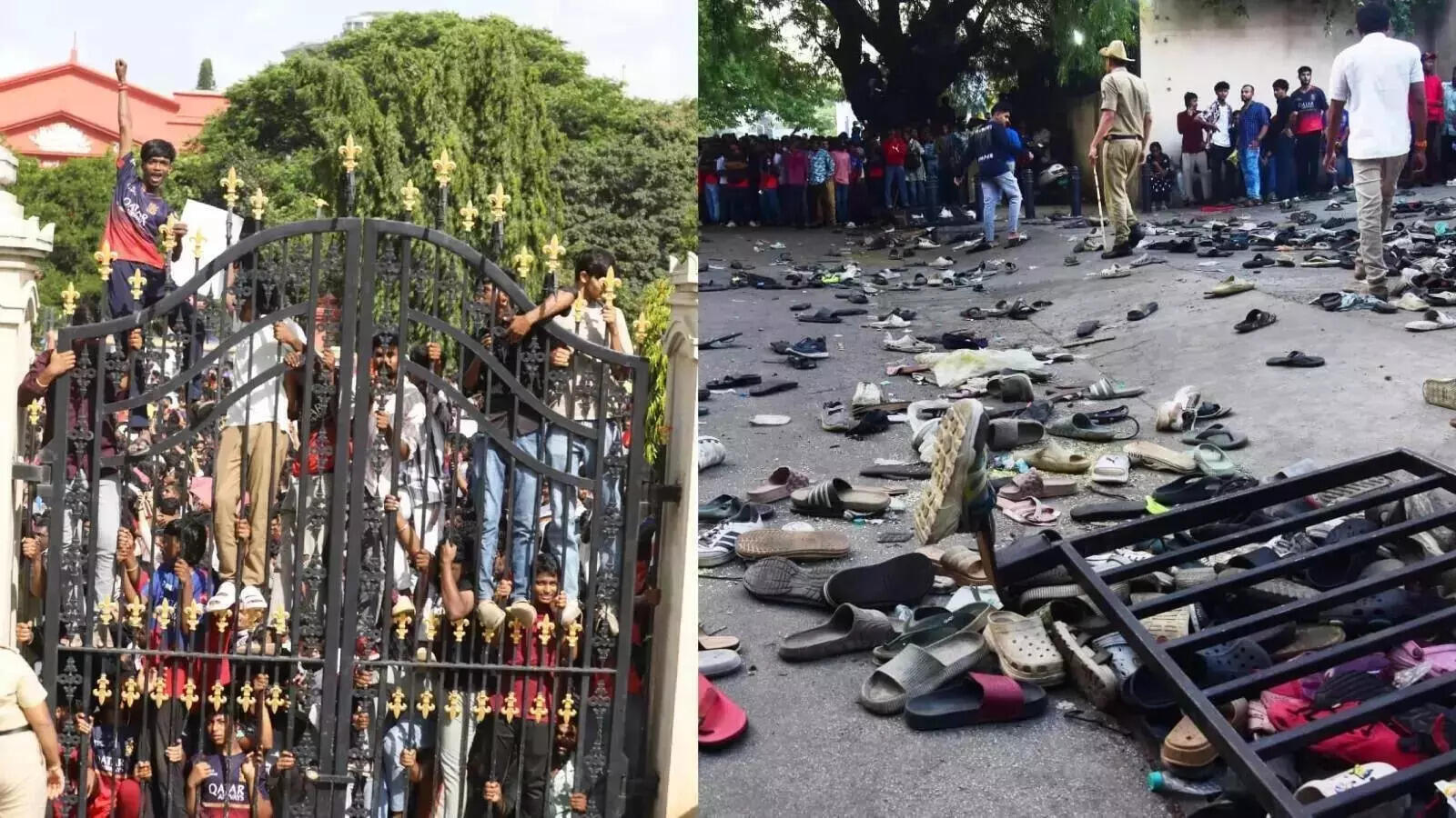 'His absence is haunting, even his dogs are grieving': Engineering ...