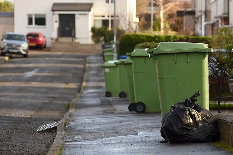 Major bin collection changes could be made in Essex area as council ...