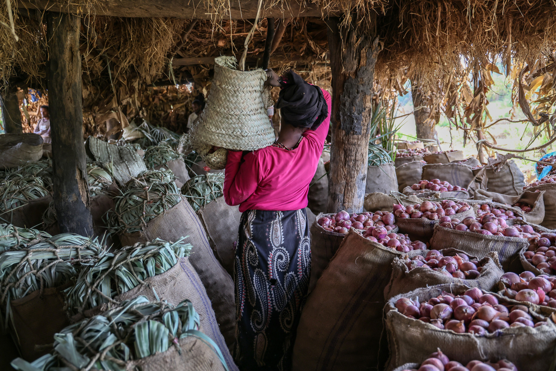 The top 30 countries where women work the most