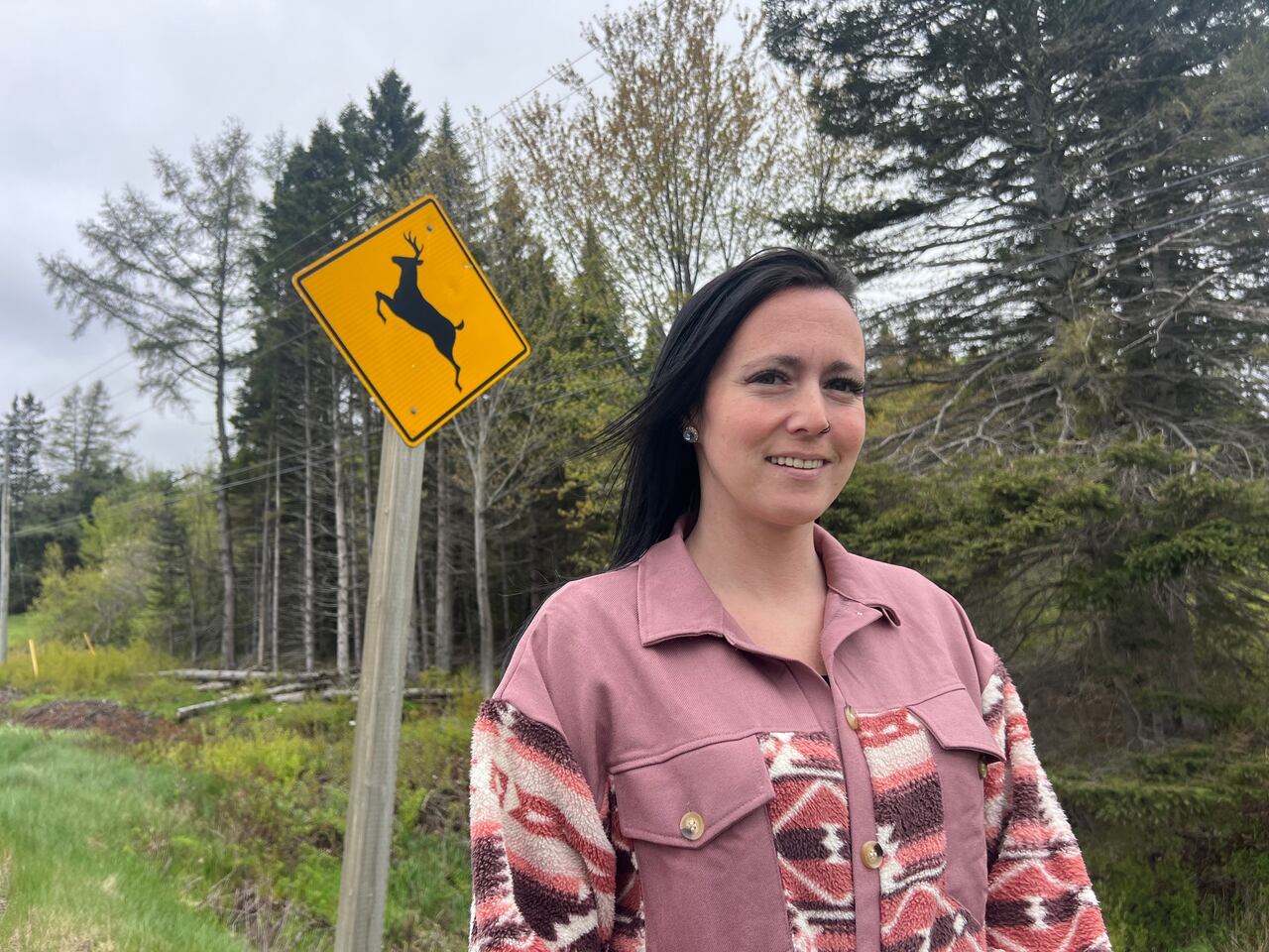 Deer collision leads to insurance nightmare for N.B. woman