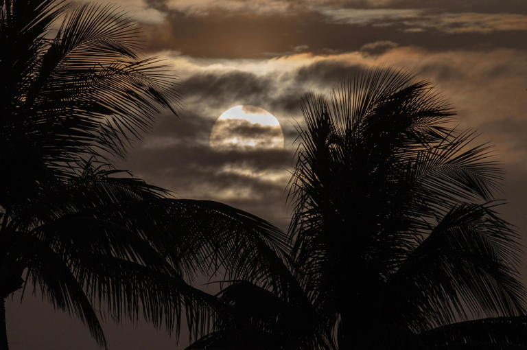 Saharan dust begins to blow across Florida. See photos, videos of ...