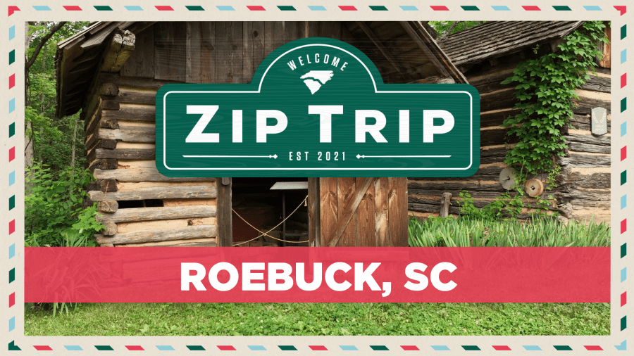 Zip Trips: History of Roebuck