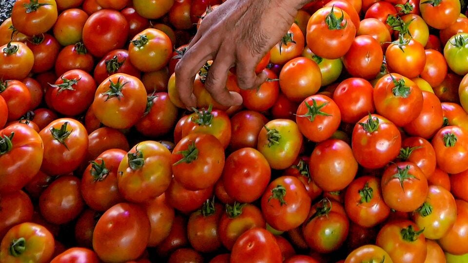 Retail inflation seen dropping to 3% or below in May—lowest since 2019