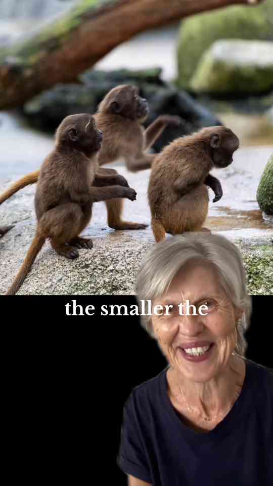 The Higher Your Vibe, The Smaller Your Tribe!