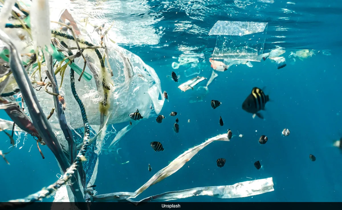 Here's How Plastic Pollution Is Affecting Your Body