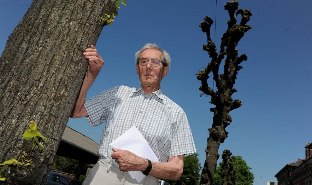 These 25 Trees Are Now Hard To Find Or Gone For Good