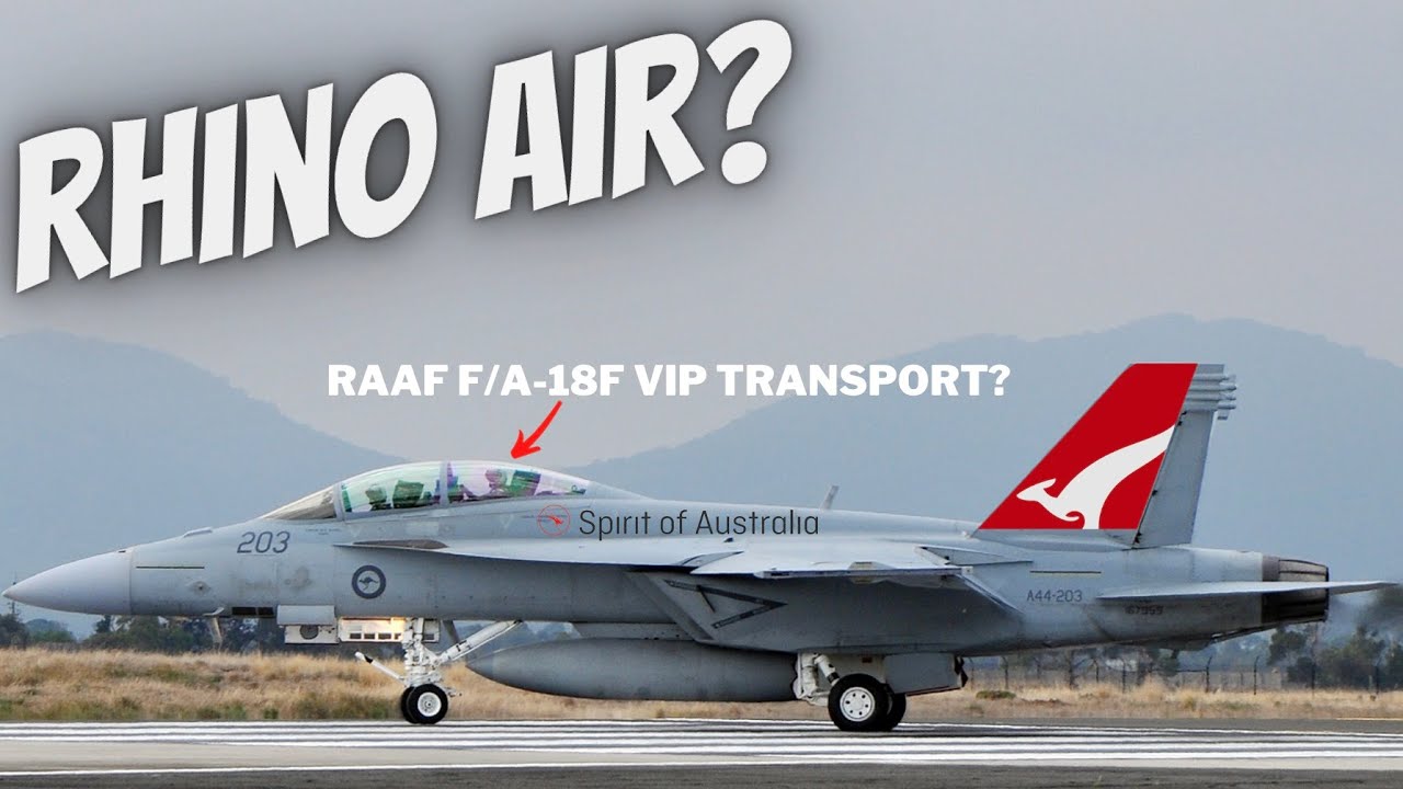 From Hornet to Rhino: The Evolution of a Fighter Jet's Name