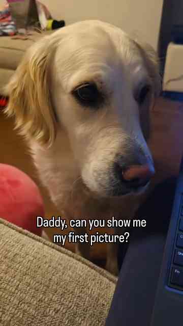 I Still See That Little Puppy Every Time I Look at You