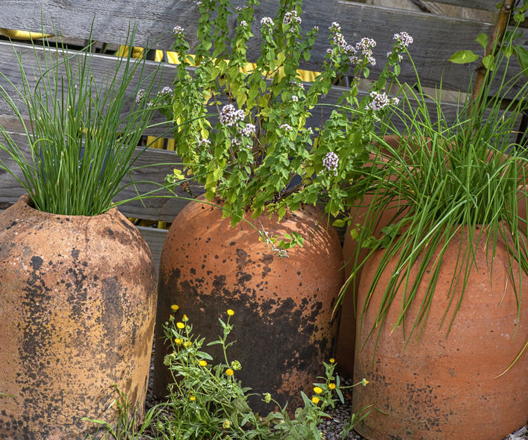 5 things you should never use to fill the bottom of a large planter ...
