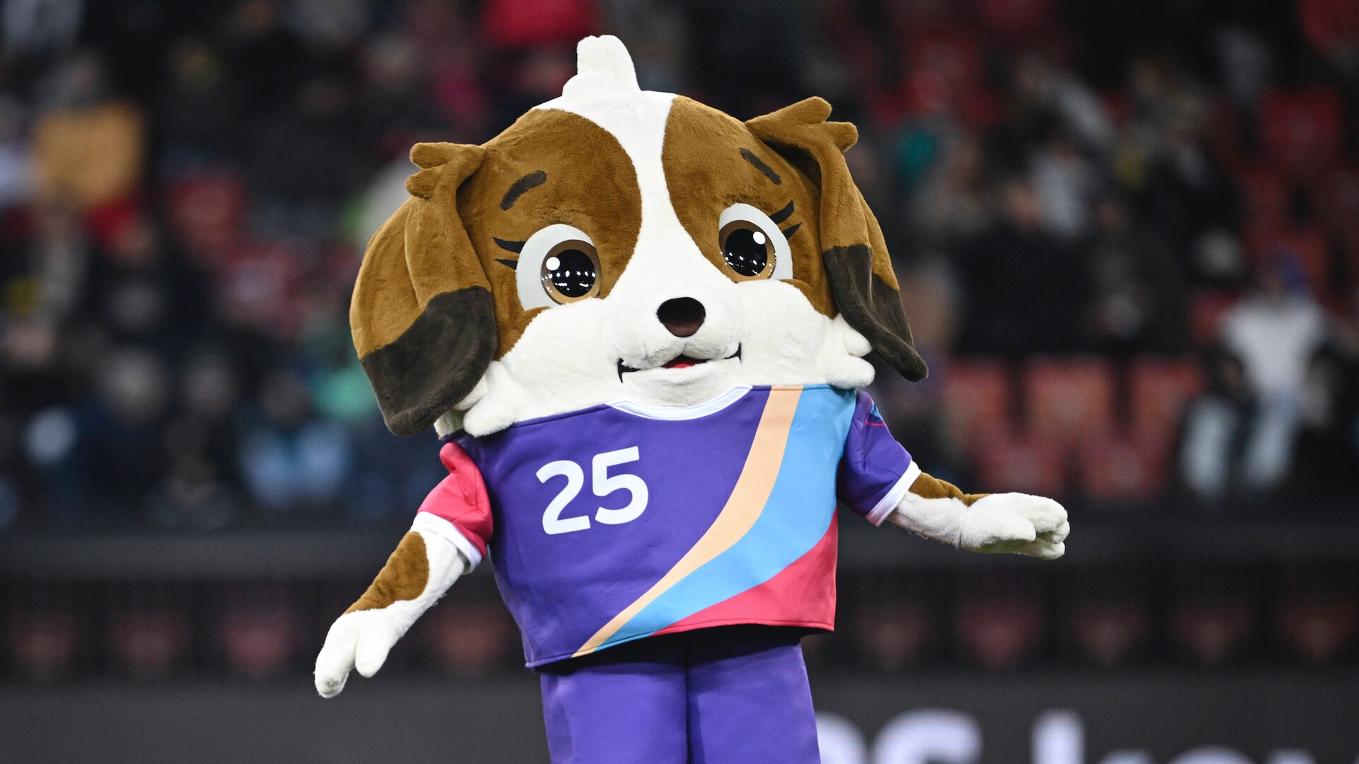 Deshalb heißt das offizielle Maskottchen der Frauenfußball-EM 2025 Maddli