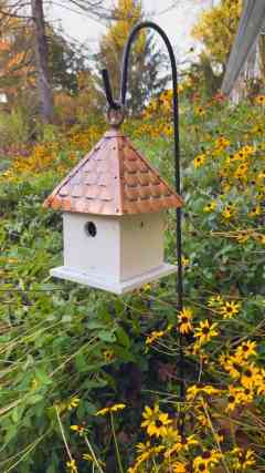 How Pretty Does My Birdhouse Look in the Garden?