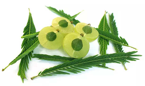 5 Indian jadi-bootis for unstoppable hair growth