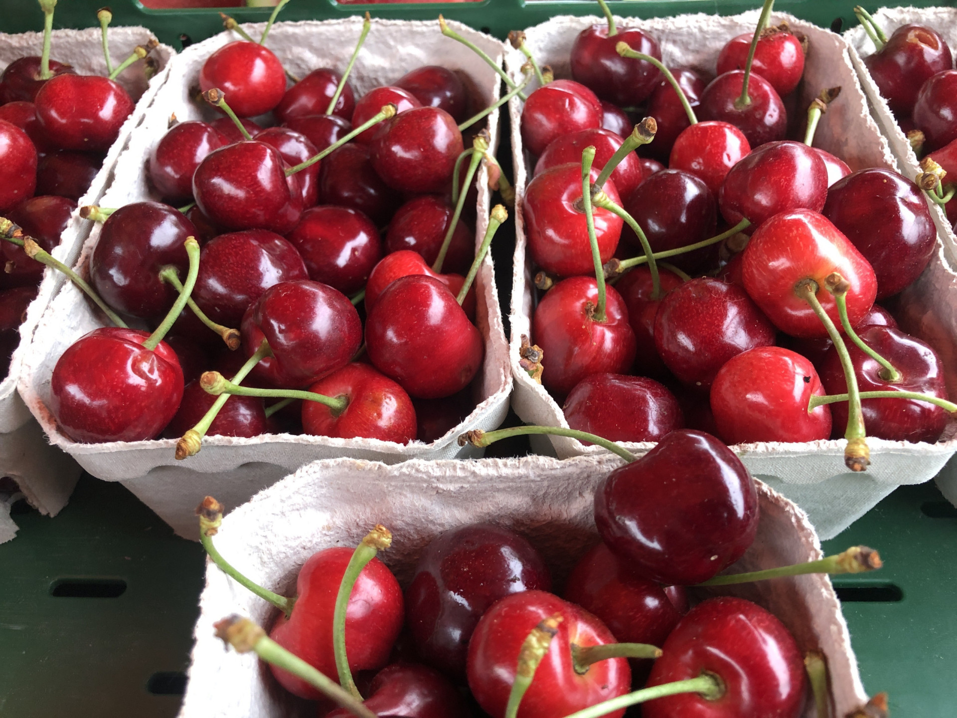 These foods can help you look younger
