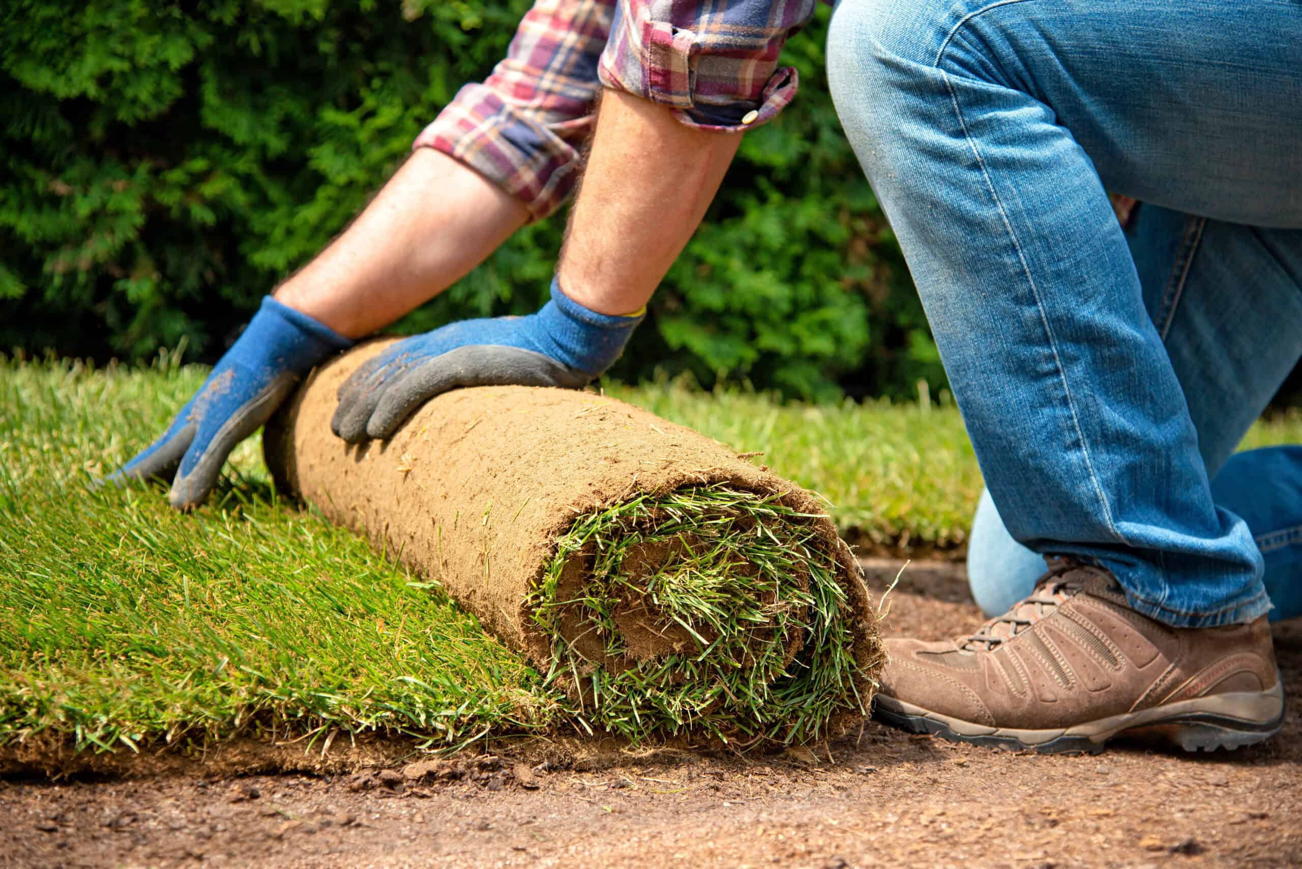 12 Warning Signs Your HOA Is Out of Control