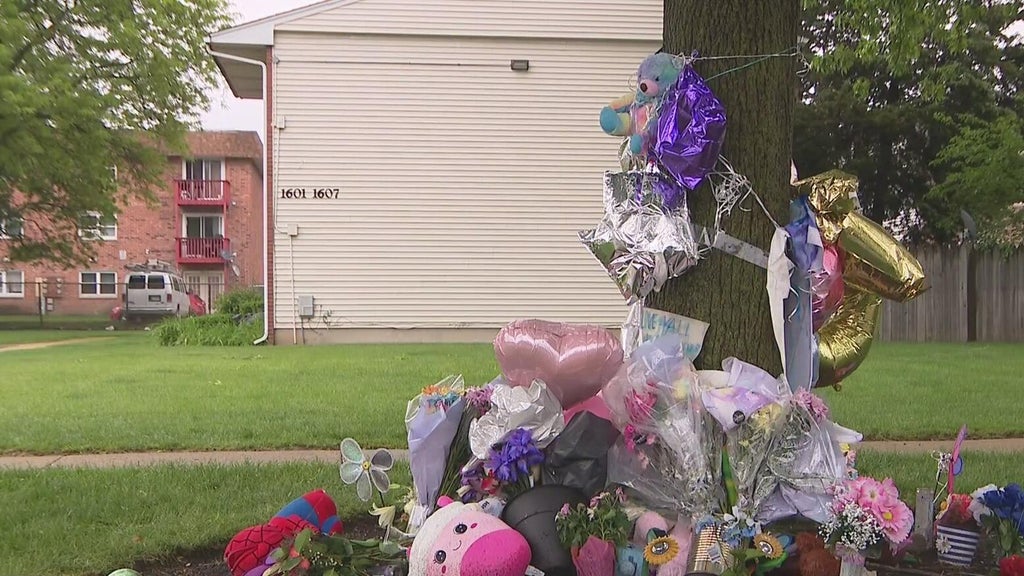 7-year-old tried to save sisters with CPR after fatal stabbing in ...